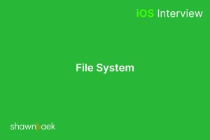 iOS, File System – Shawn